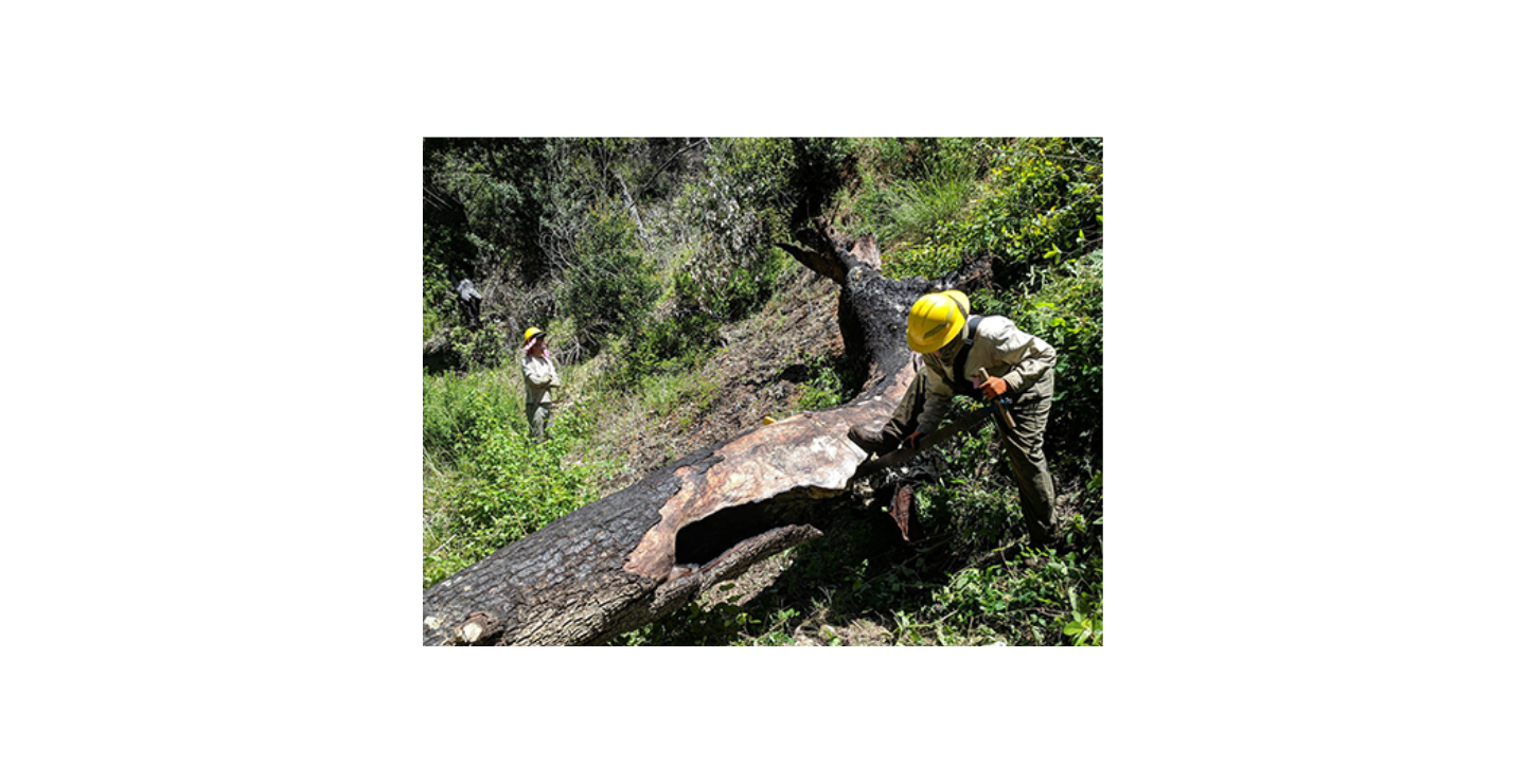 After 18 Years, Betsy MacGowan Retires from Berkeley Lab - Computing Sciences News Archive ...